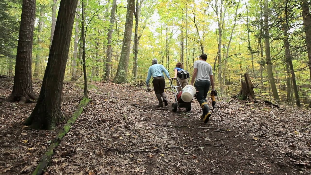Penn State - Real Scientist Profile - Patterson Media Team